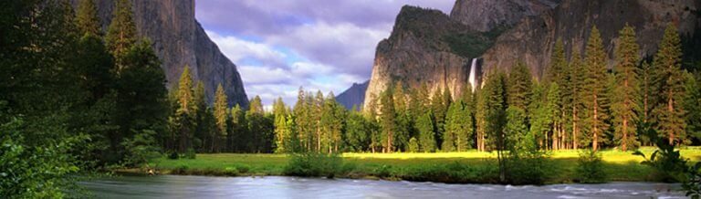 About Yosemite Pines - Yosemite Pines